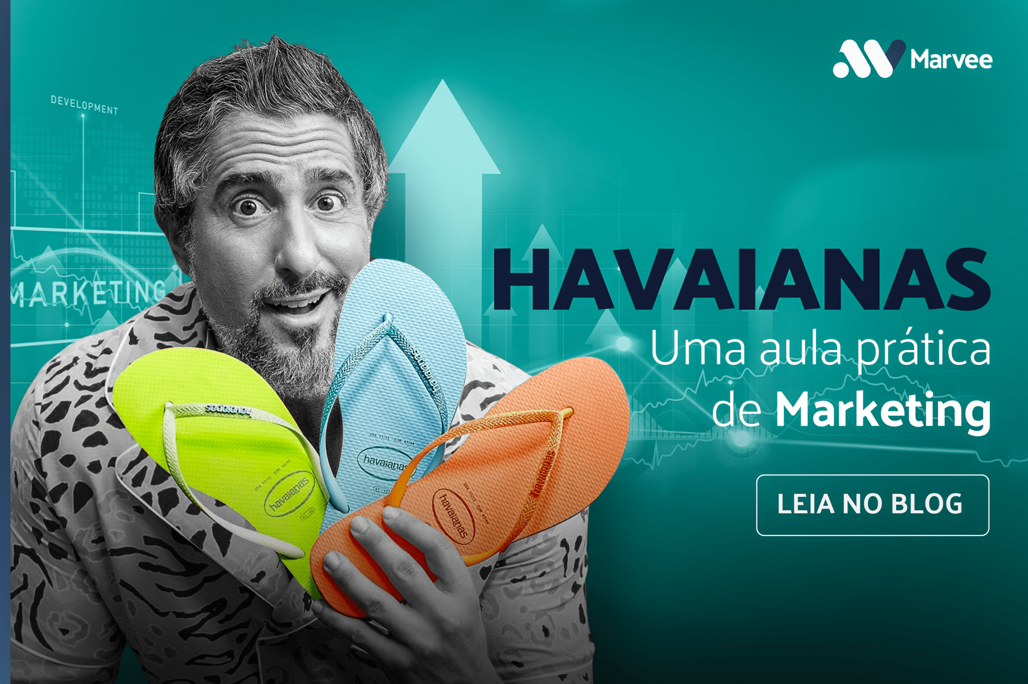 O Sucesso da Havaianas: Uma História de Marketing Triunfante - Marvee